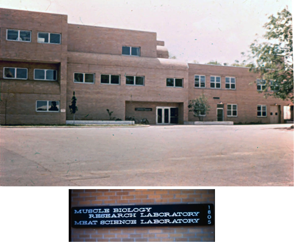 History – Meat Science