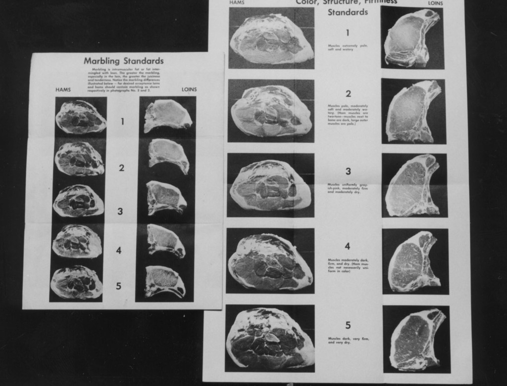 History – Meat Science