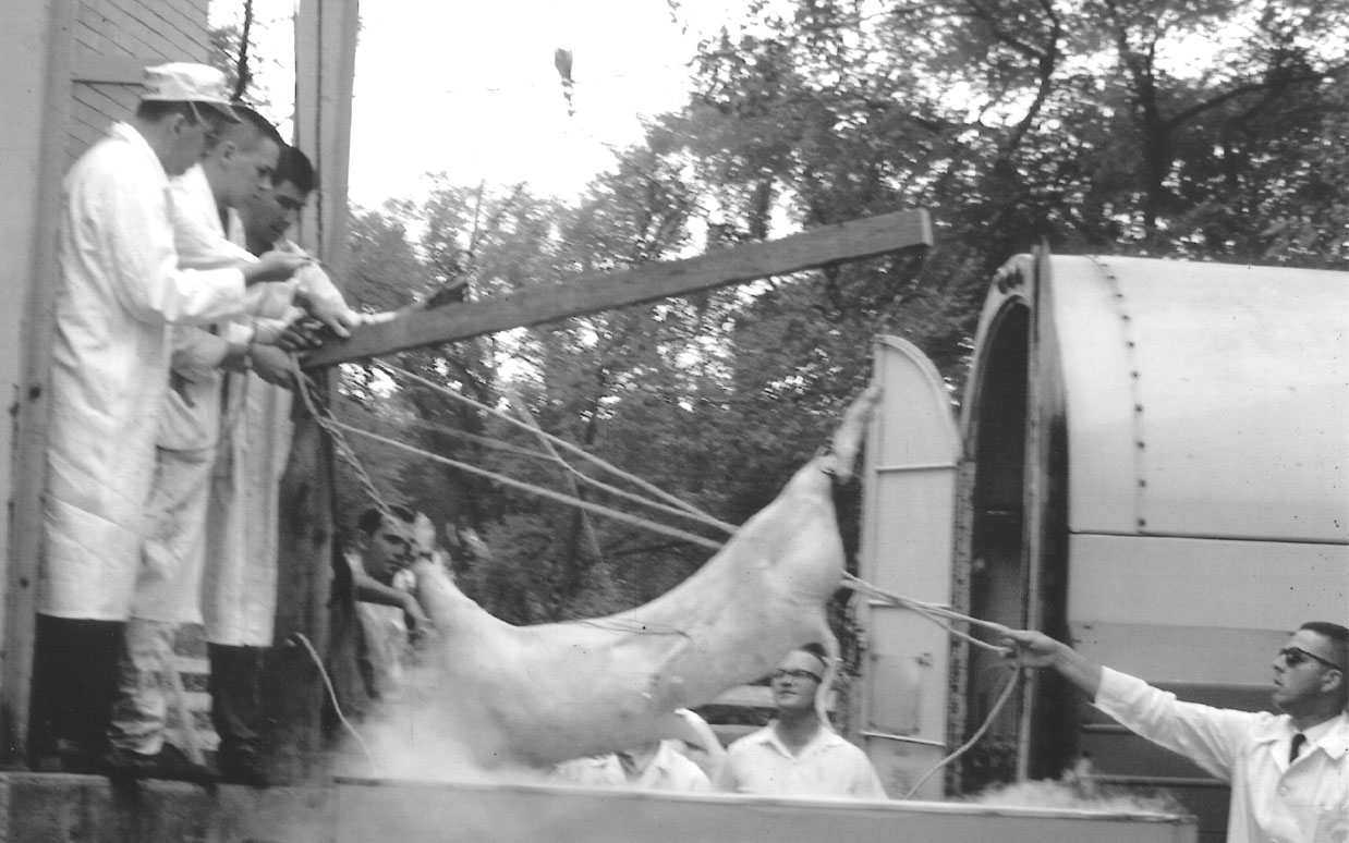 History – Meat Science