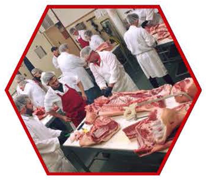 Themes & Capabilities – Meat Science