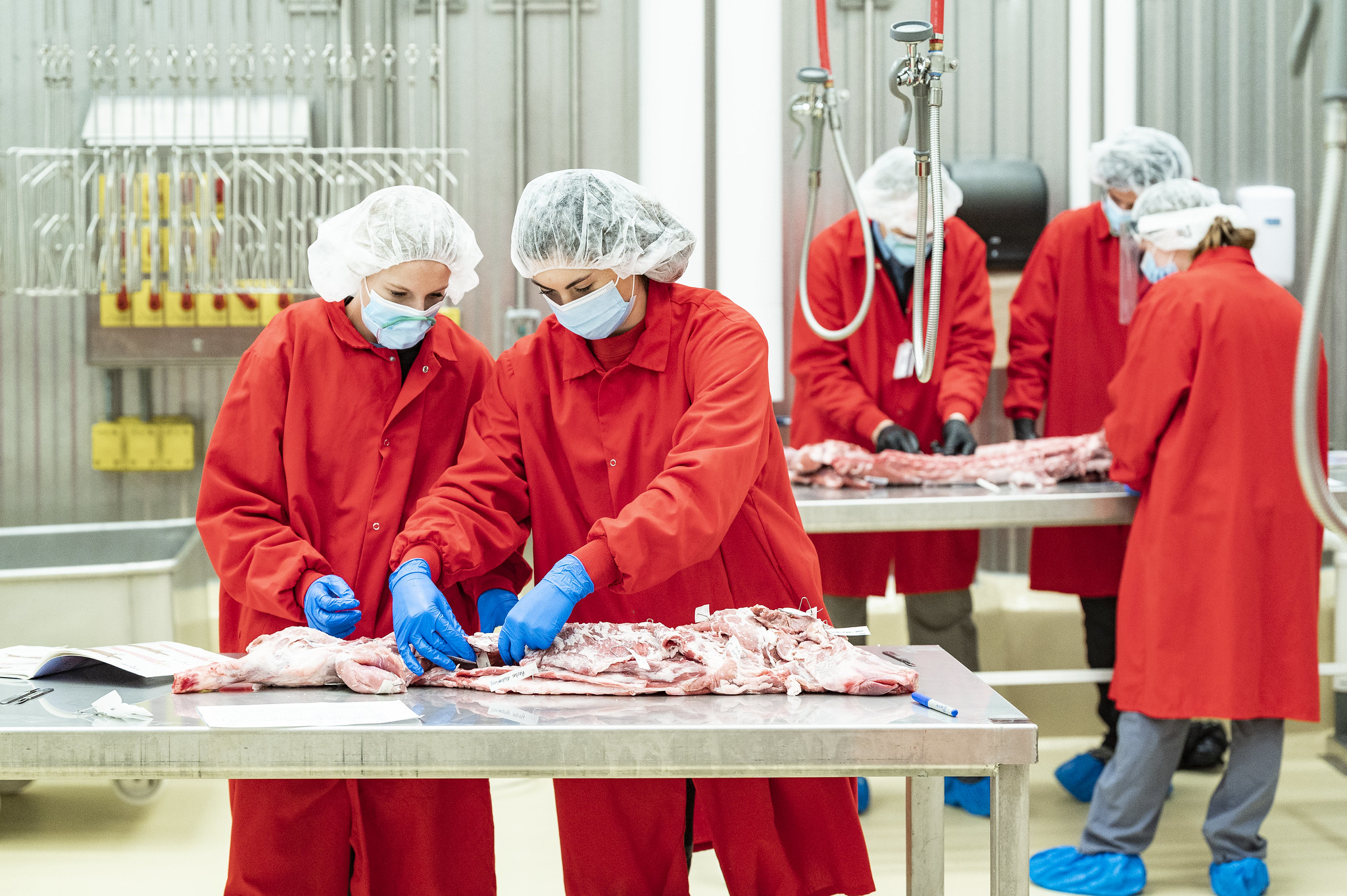 Teaching – Meat Science